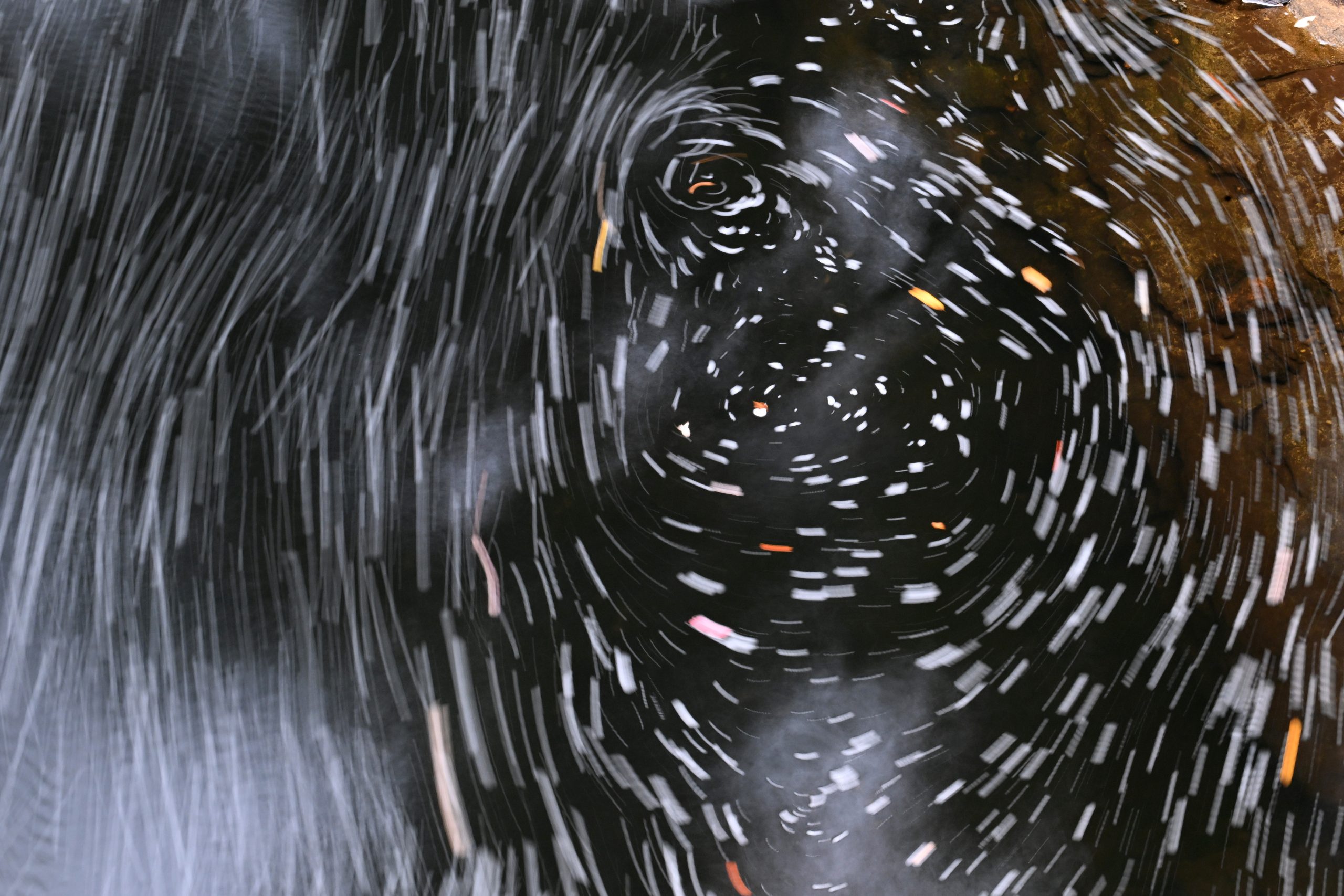 PHOTO: Nature in motion - Greenfield Recorder