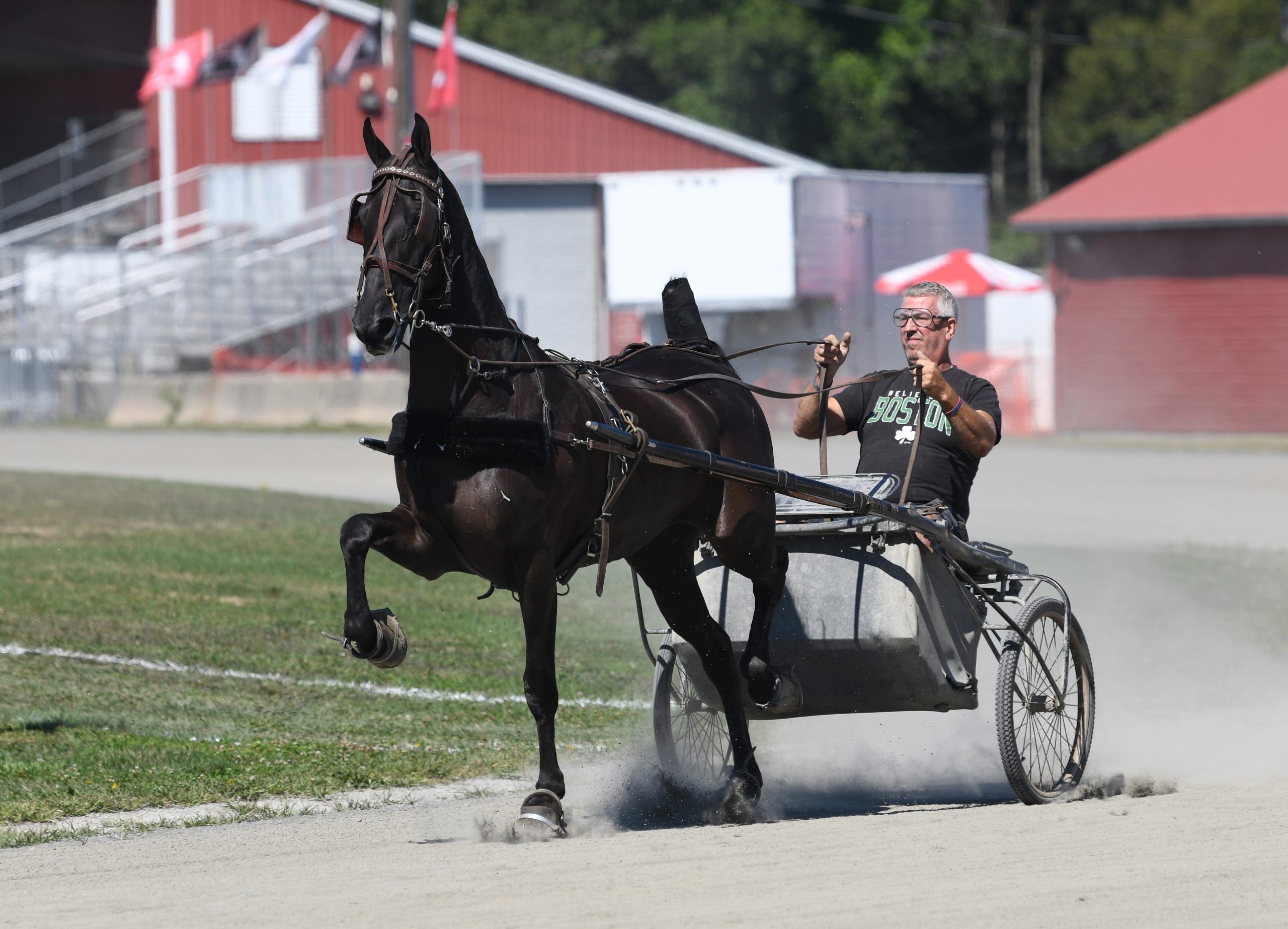 PHOTO: Equine exercise - Greenfield Recorder